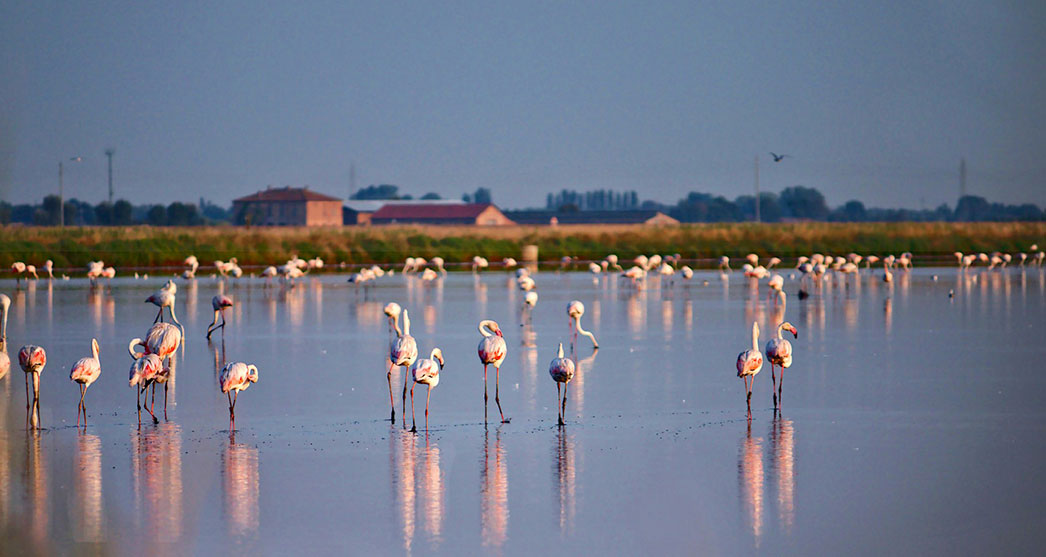 Delta del Po: la meta ideale per uno slow tourism di qualità - Leccenews24