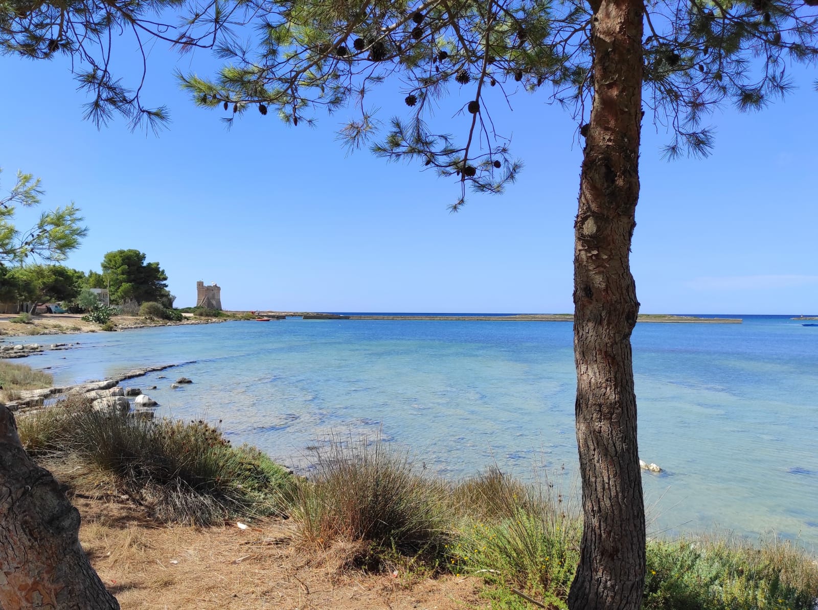 Torre Squillace, il mare come un cortile di casa - Leccenews24