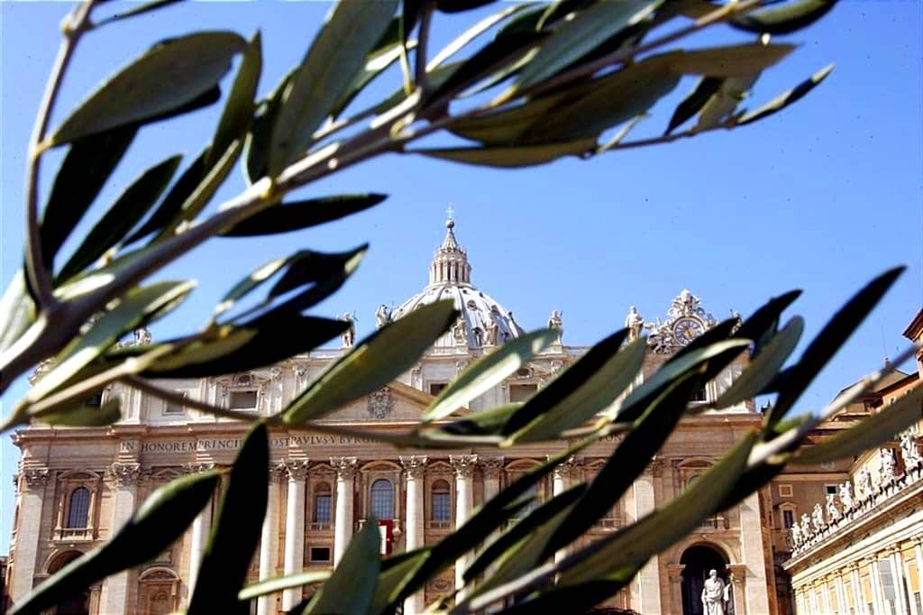 Quei ramoscelli branditi come una bacchetta magica nel giorno delle ...